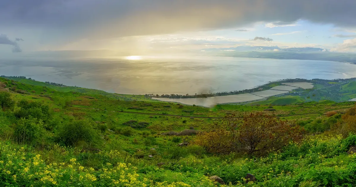 Maoz Israel | From a Handful to Thousands: Our Role in Empowering…
