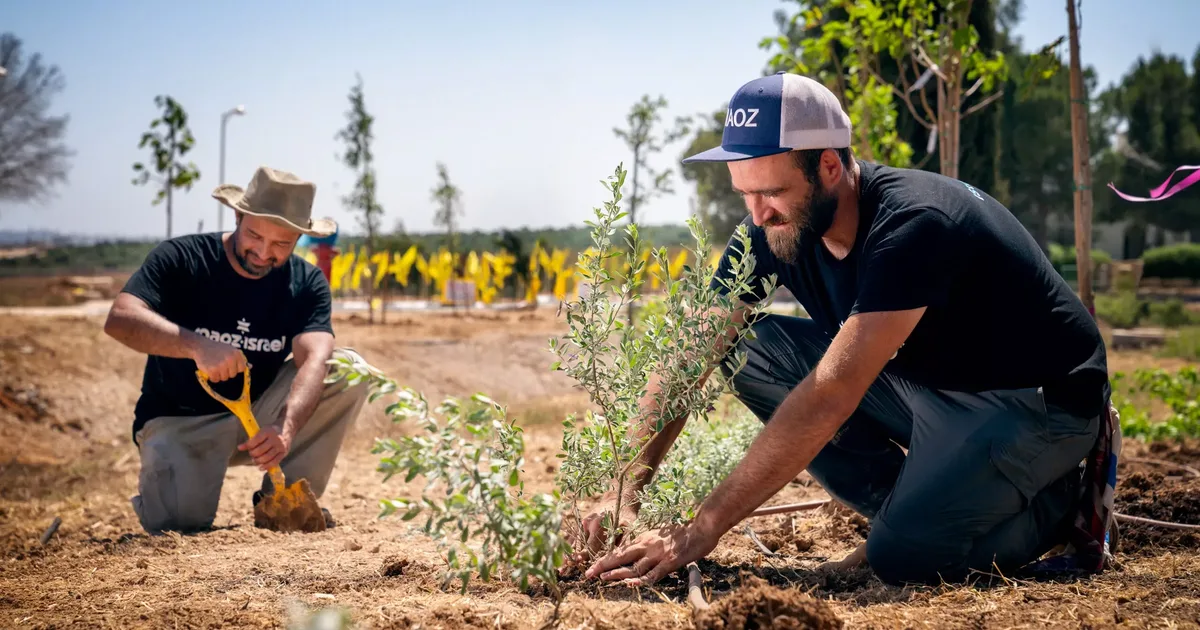 Maoz Israel | Making Israel Great Again