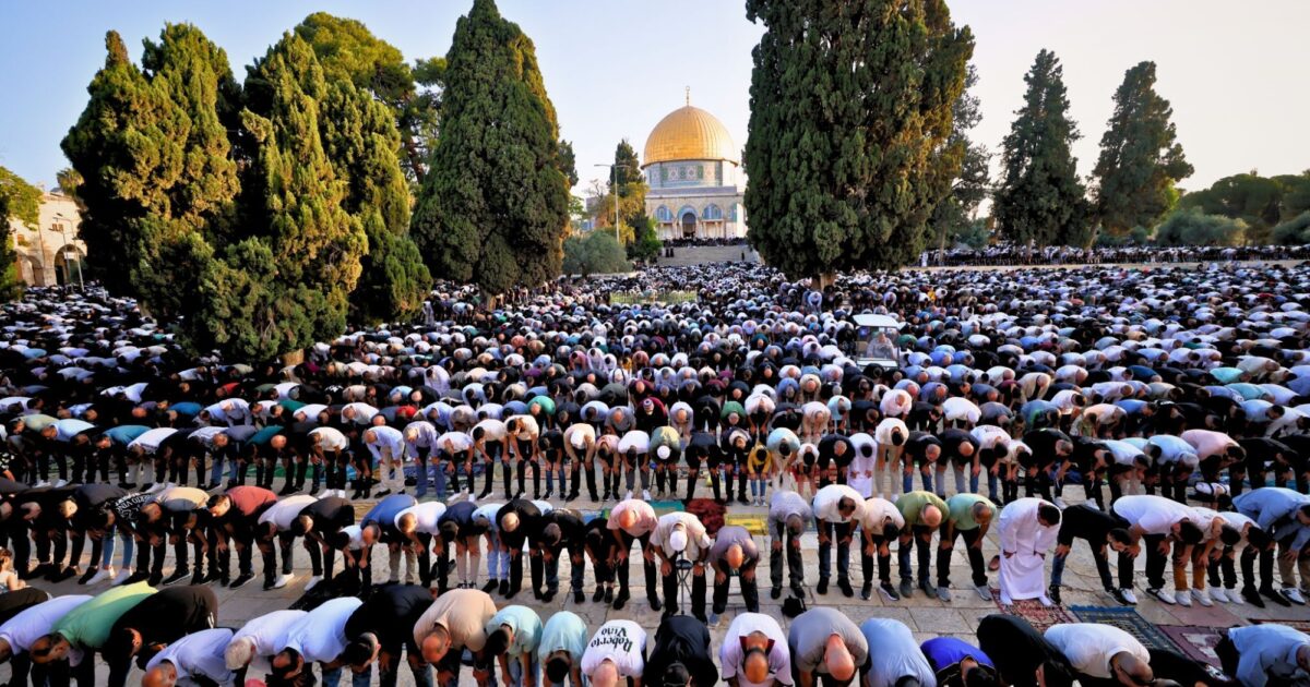 Maoz Israel | Light for the Nations